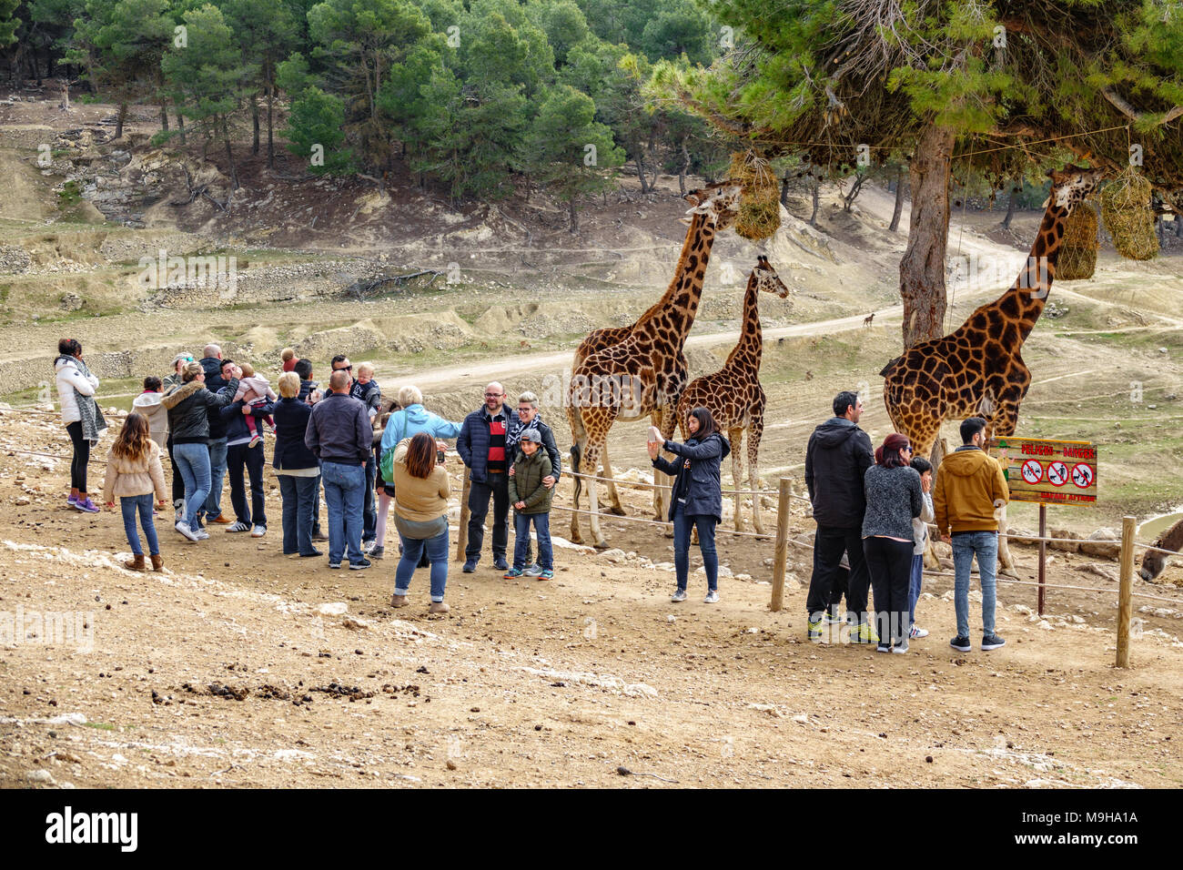Tourists visit city zoo safari Stock Photo - Alamy