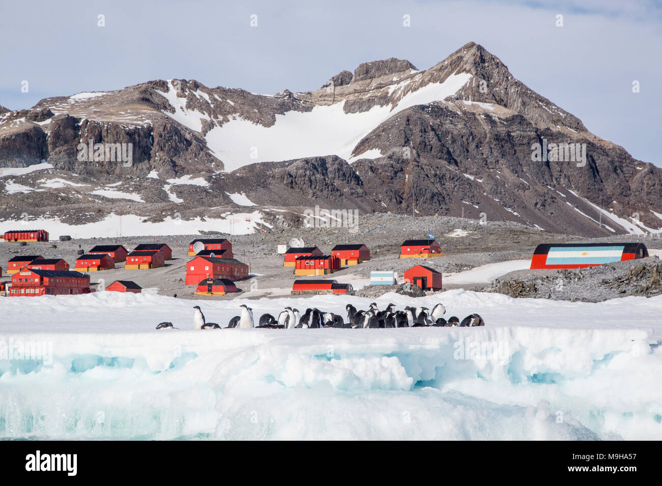 scenery at Esperanza research station, Hope Bay, Antarctica Stock Photo ...