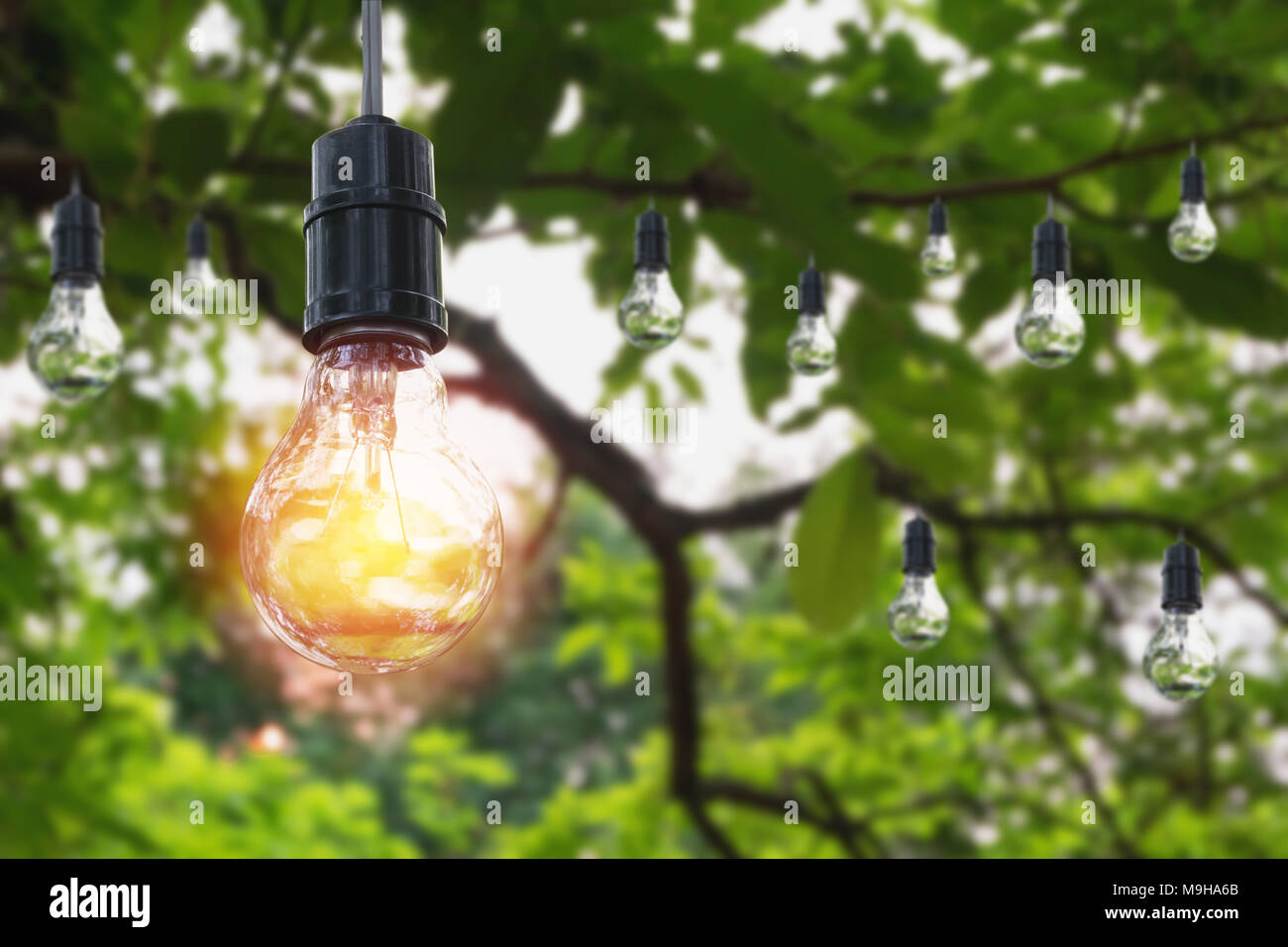 Hanging Light Bulb Photography