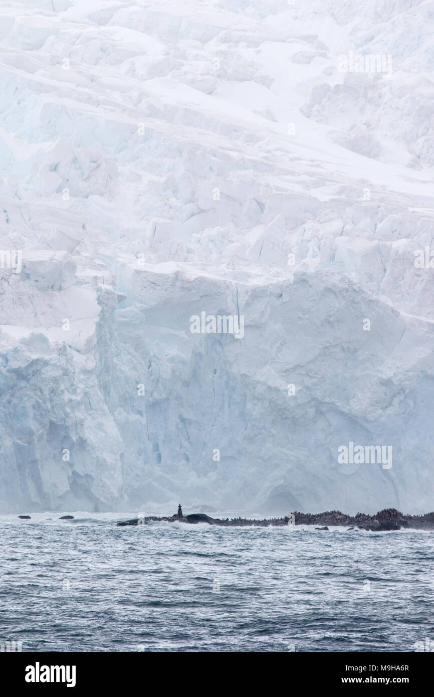 Elephant island ernest shackleton hi-res stock photography and images ...