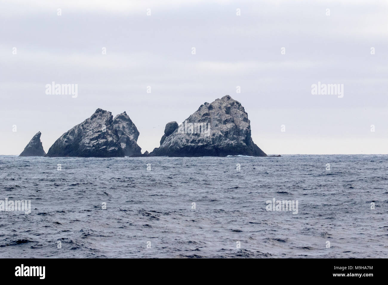 view of Shag Rocks off west coast of South Georgia Stock Photo - Alamy