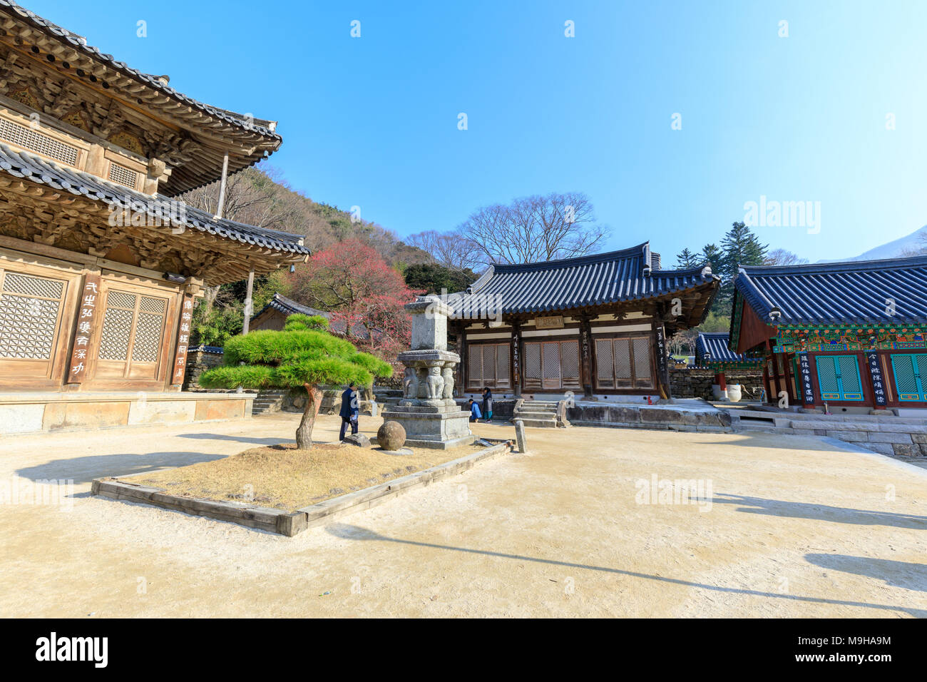Gurye, South Korea - March 26, 2018 : Scenery of Hwaeomsa Temple, which ...