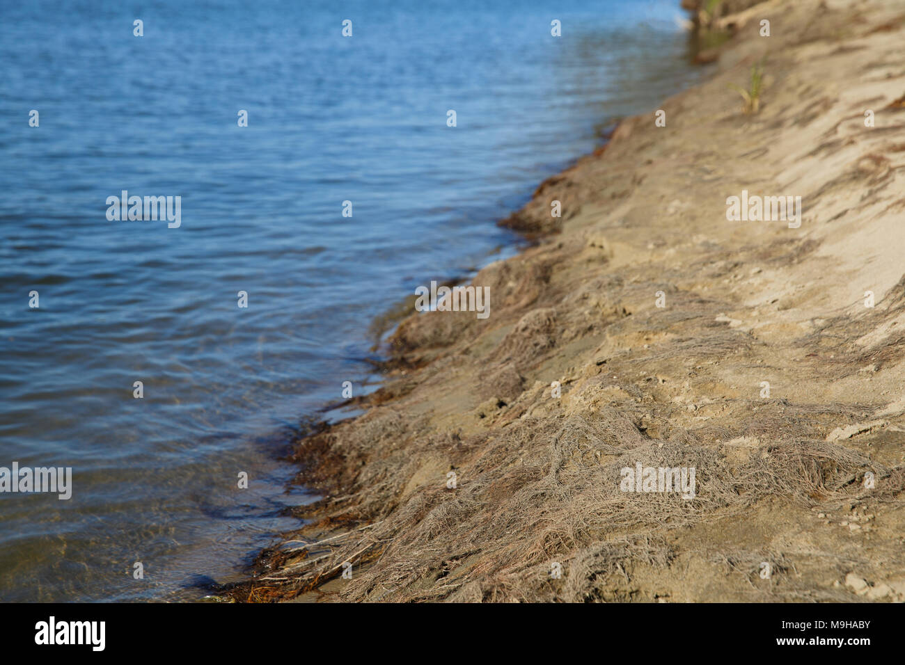 Summer riverside in the forest with sharp descent Stock Photo - Alamy