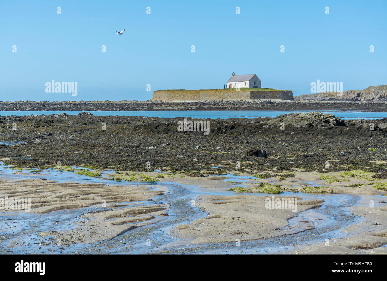 Aberffraw walk hi-res stock photography and images - Alamy