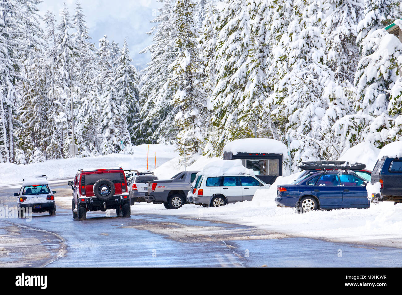 Pacific northwest snowstorm hi-res stock photography and images - Alamy