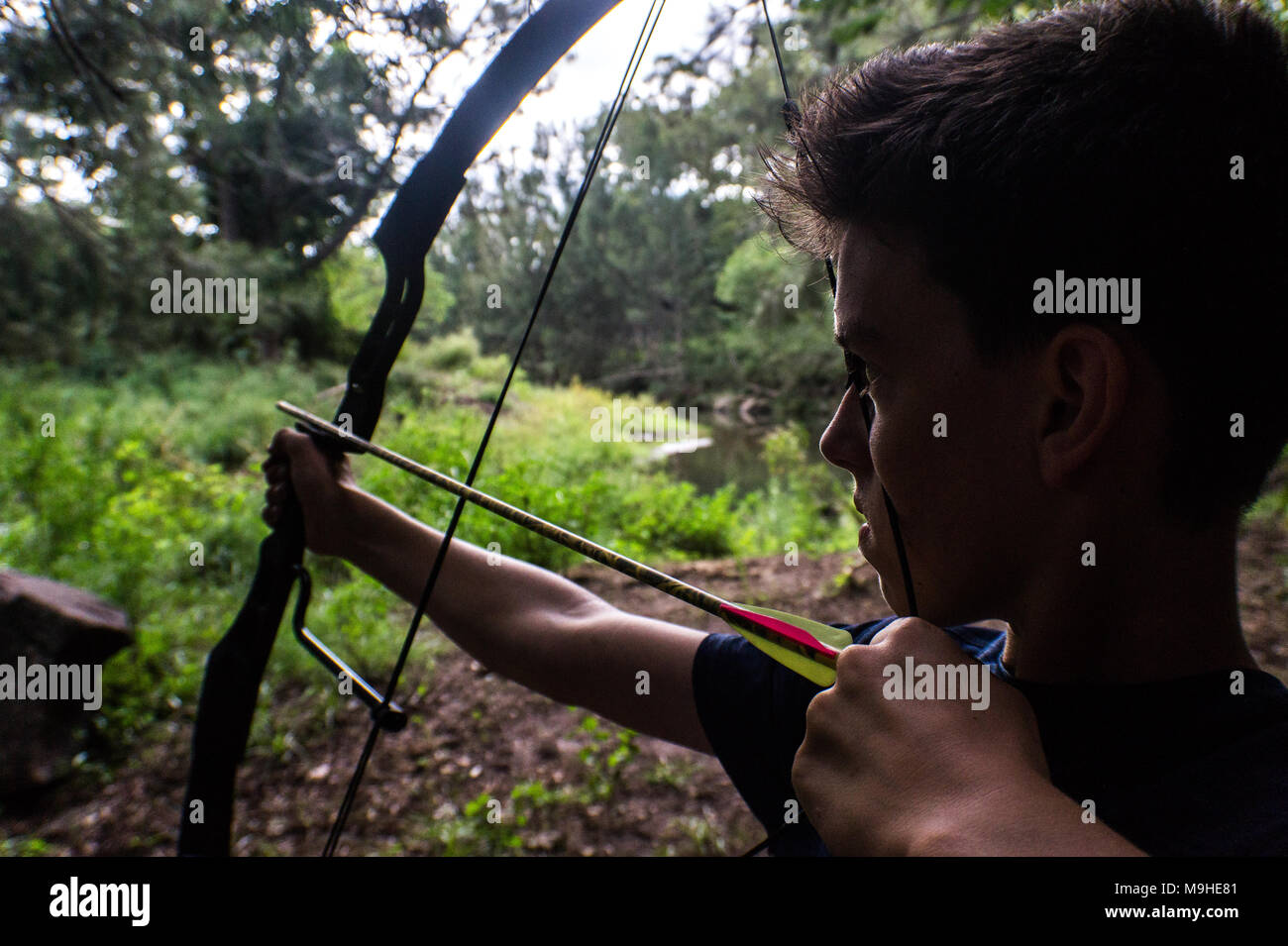 Archery in the Forest Stock Photo - Alamy