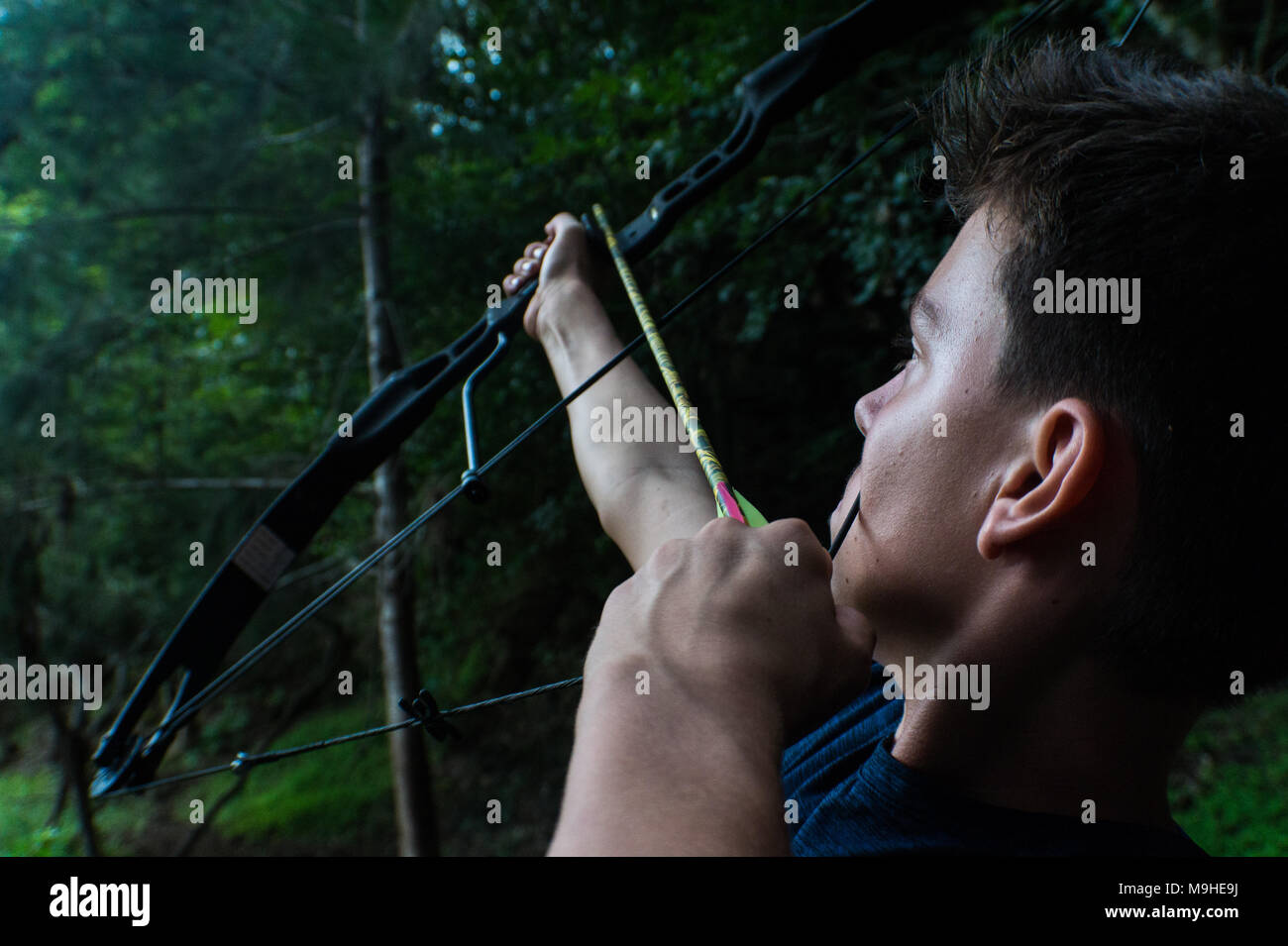 Archery in the bush hi-res stock photography and images - Alamy