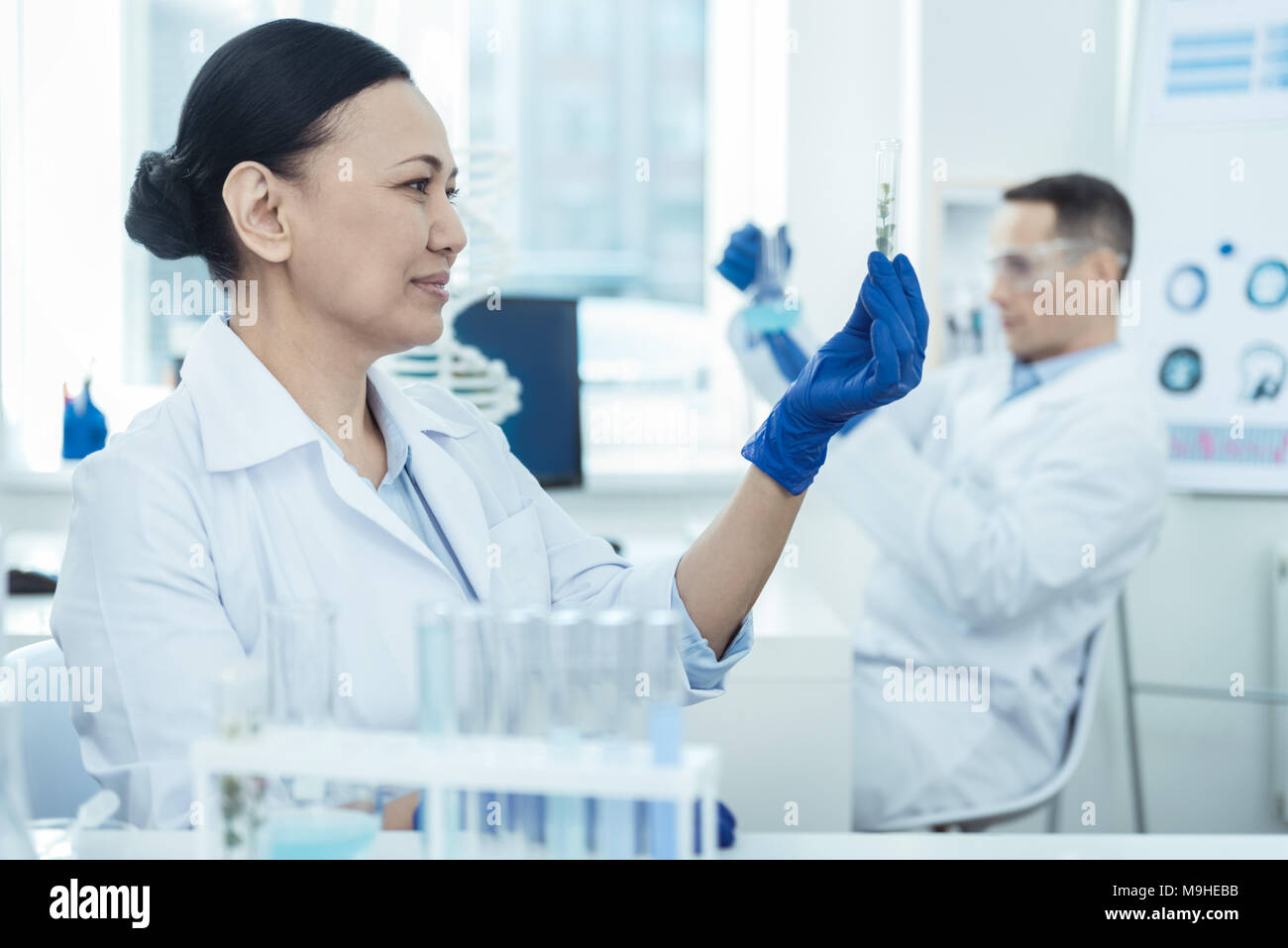 Alert scientist making an important experiment Stock Photo - Alamy