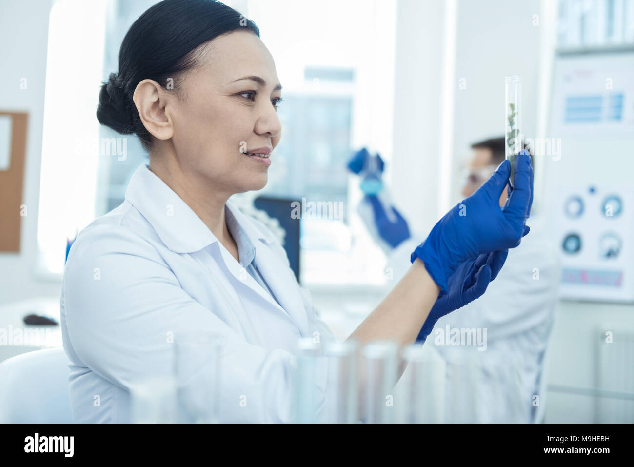 Happy researcher making an important experiment Stock Photo - Alamy