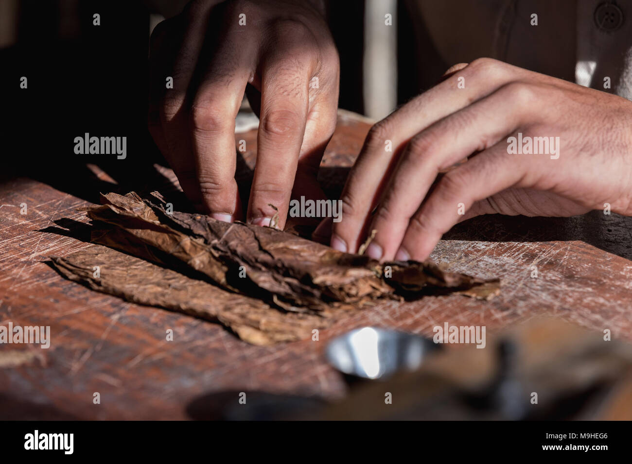 Cigar production hi-res stock photography and images - Alamy