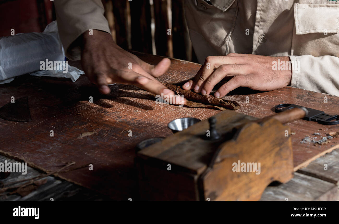 Cigar production hi-res stock photography and images - Alamy