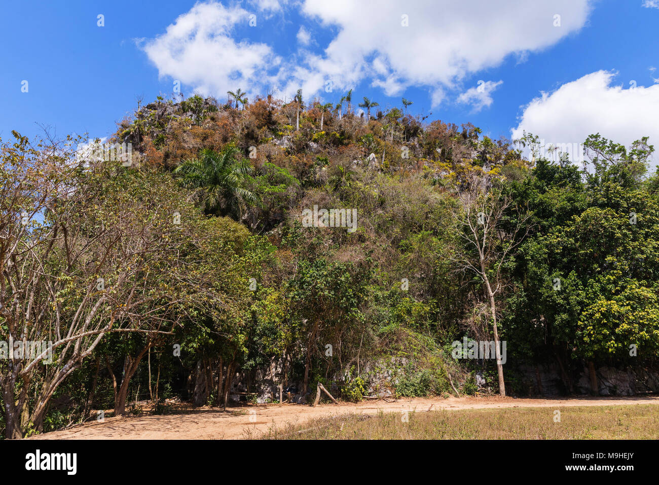 Vinales valley cave hi-res stock photography and images - Alamy