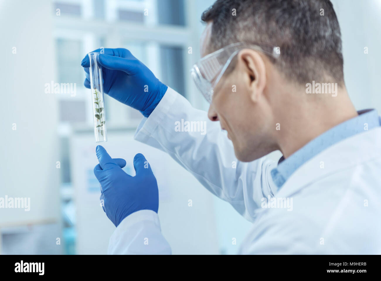 Professional biologist hi-res stock photography and images - Alamy