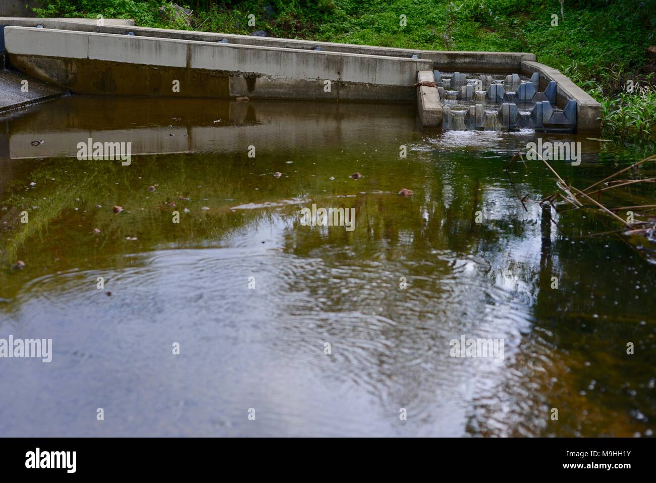 Fish ladder to allow migrating fish to swim upstream past hi-res stock ...