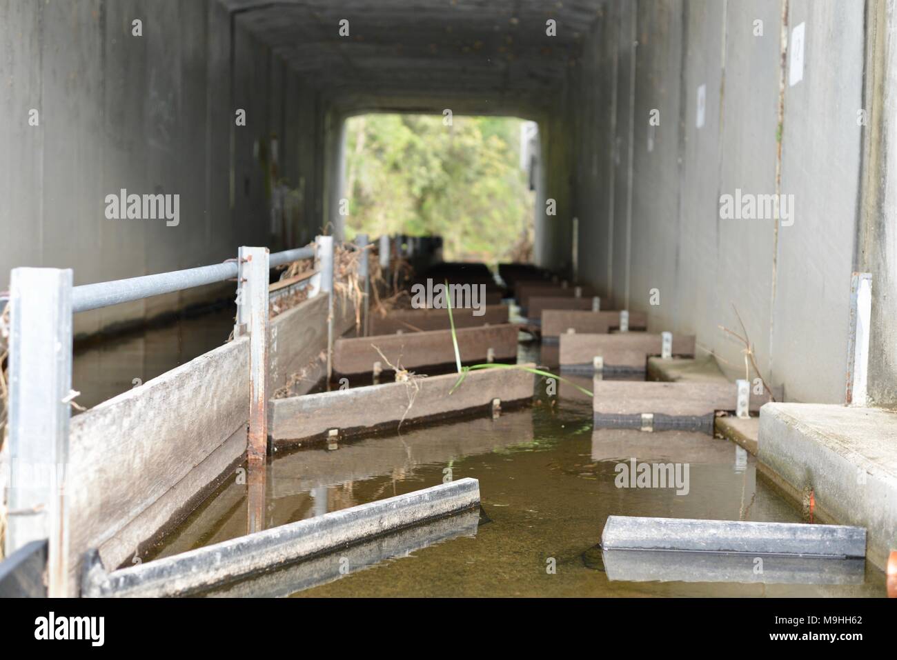 Fish ladder to allow migrating fish to swim upstream past hi-res stock ...