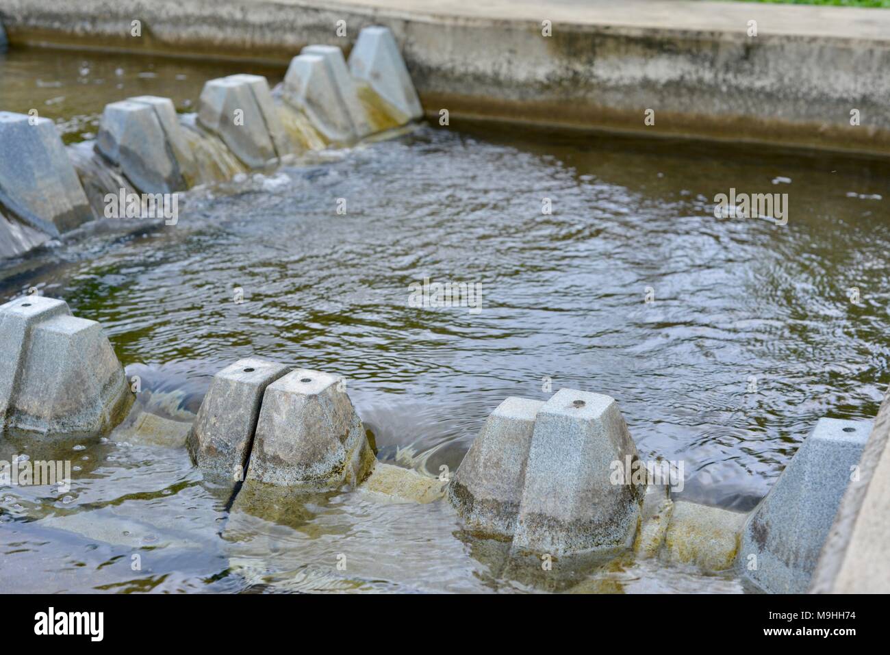 Fish Ladder to allow migrating fish to swim upstream past man made ...