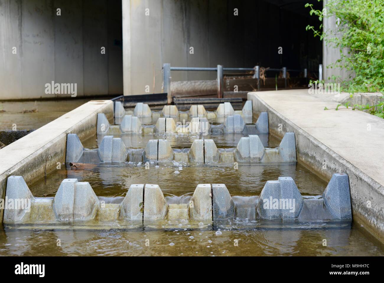 Fish Ladder to allow migrating fish to swim upstream past man made ...
