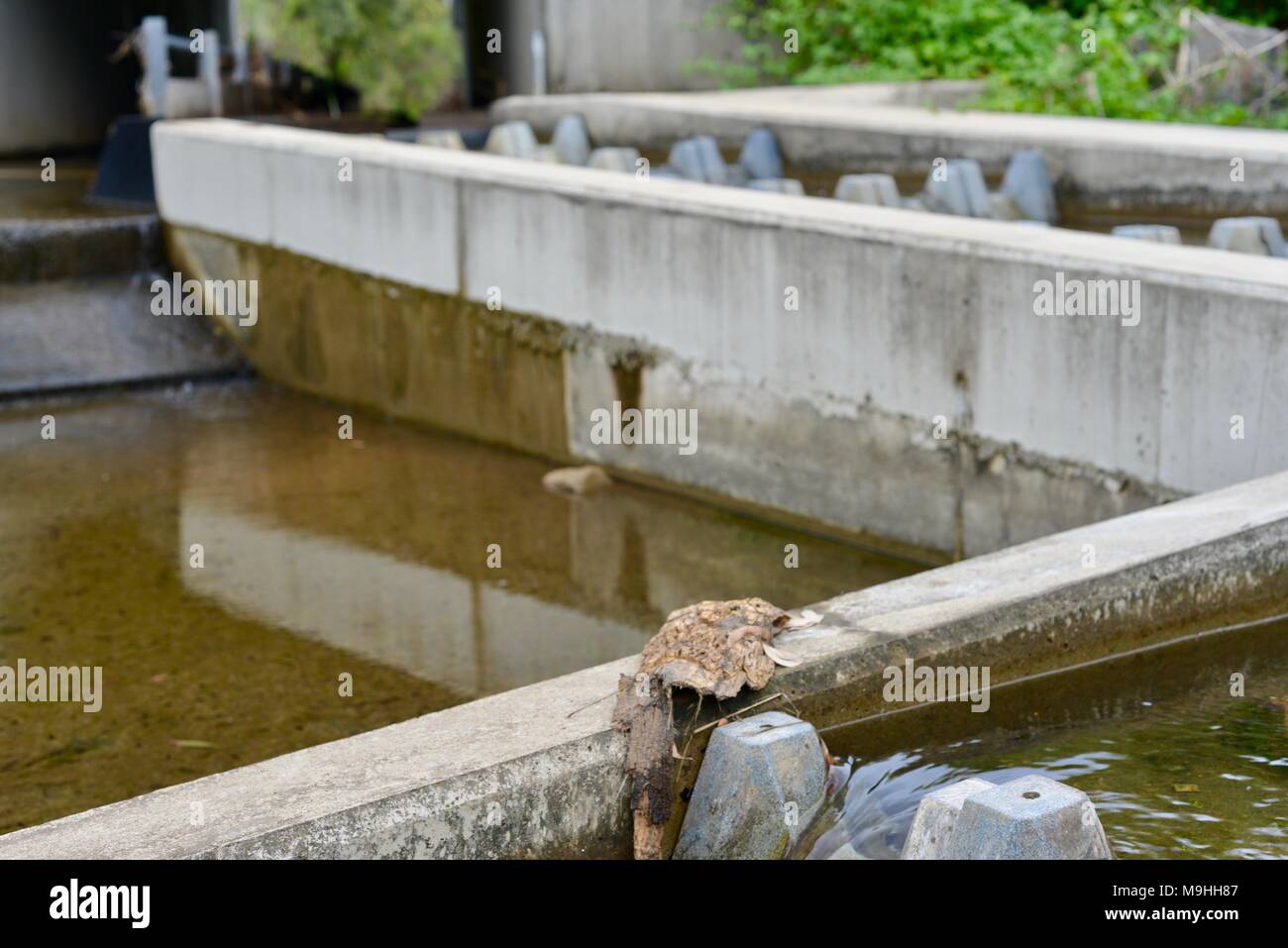 Fish Ladder to allow migrating fish to swim upstream past man made ...