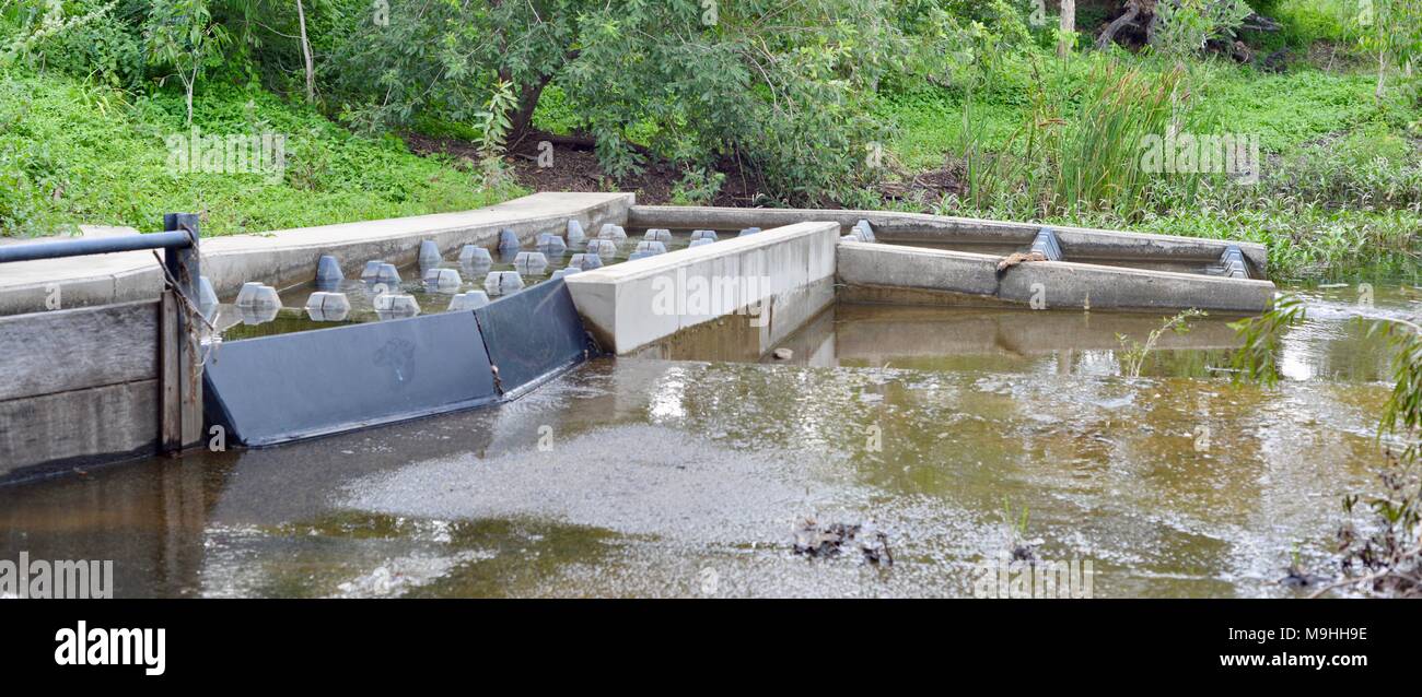 Fish Ladder to allow migrating fish to swim upstream past man made ...