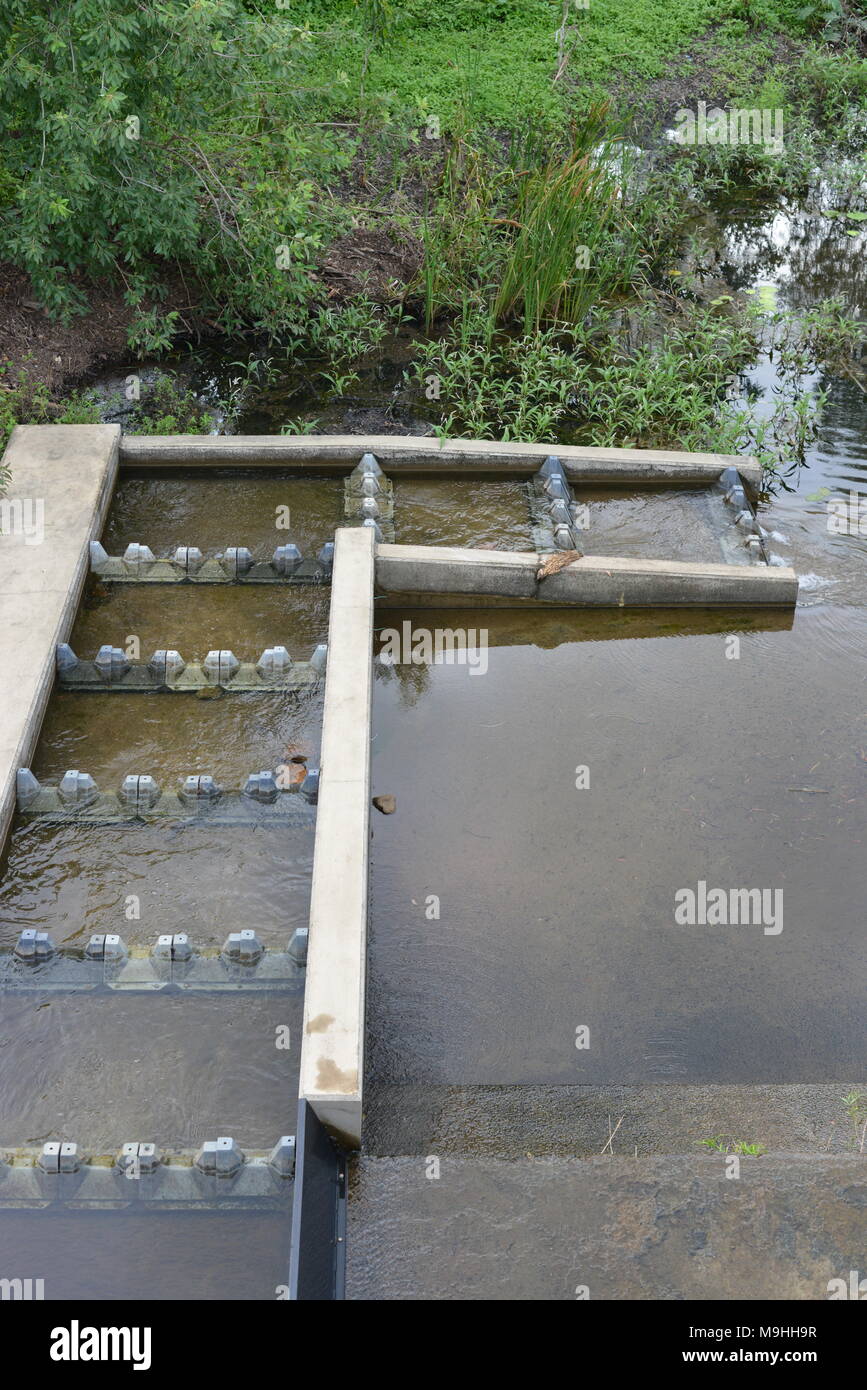Fish Ladder to allow migrating fish to swim upstream past man made ...