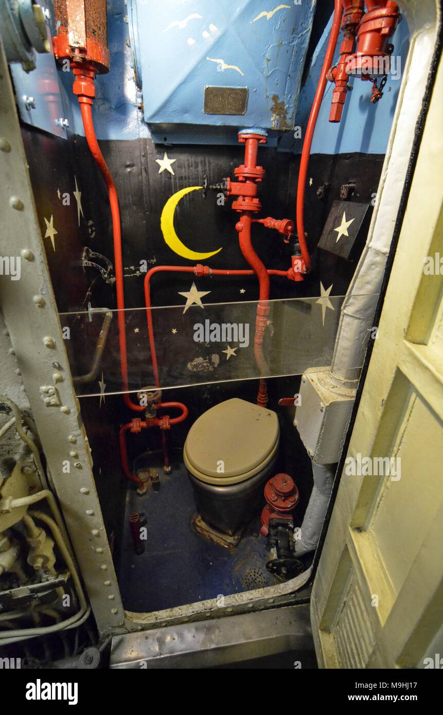 Toti High Resolution Stock Photography and Images - Alamy