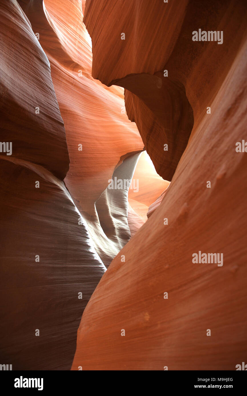 Mcneil canyon hi-res stock photography and images - Alamy