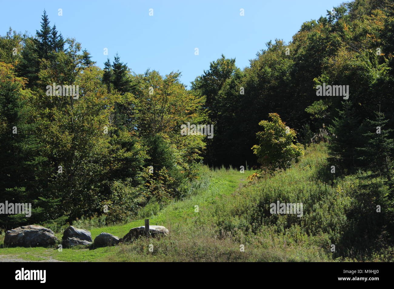 Hidden path hi-res stock photography and images - Alamy