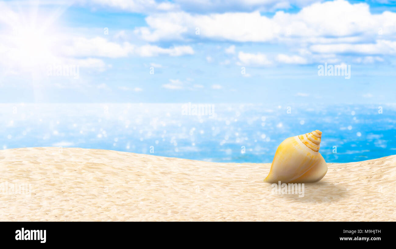 seashell in front of the sea and sand dune Stock Photo - Alamy