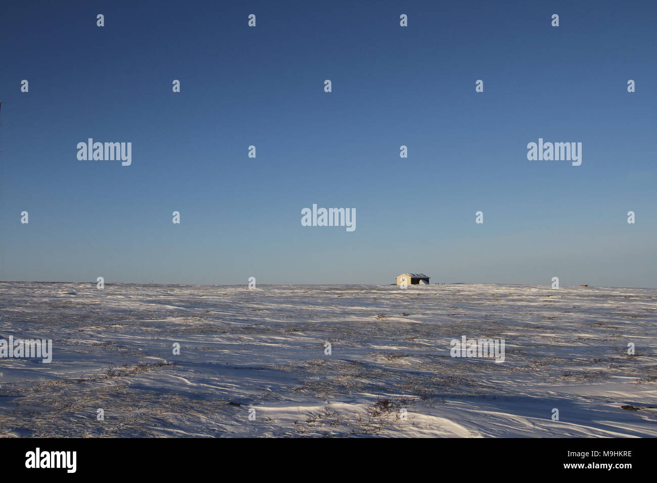 Lonely cabin along an arctic landscape with snow on the ground, near ...