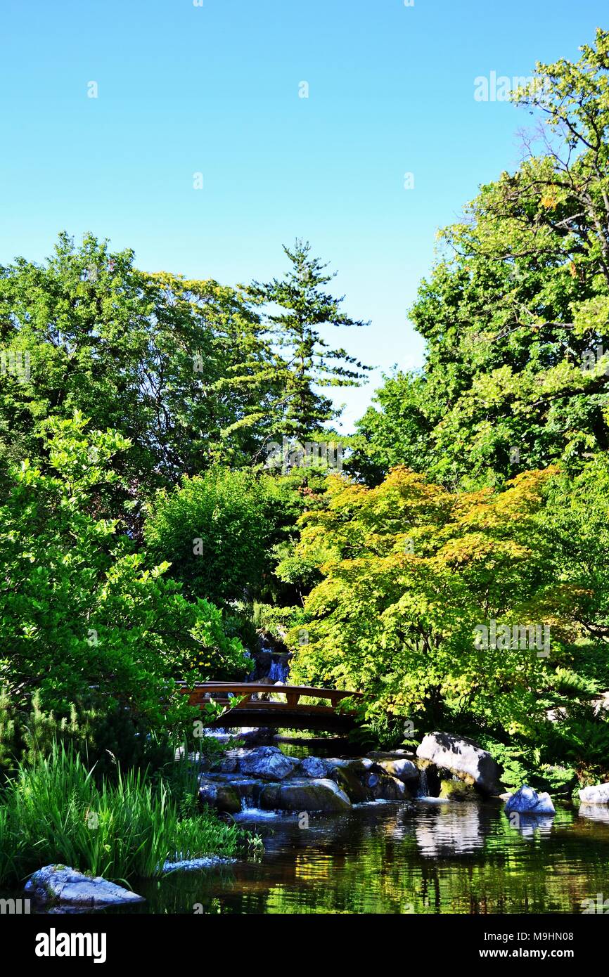 Japanese in vienna austria hi-res stock photography and images - Alamy