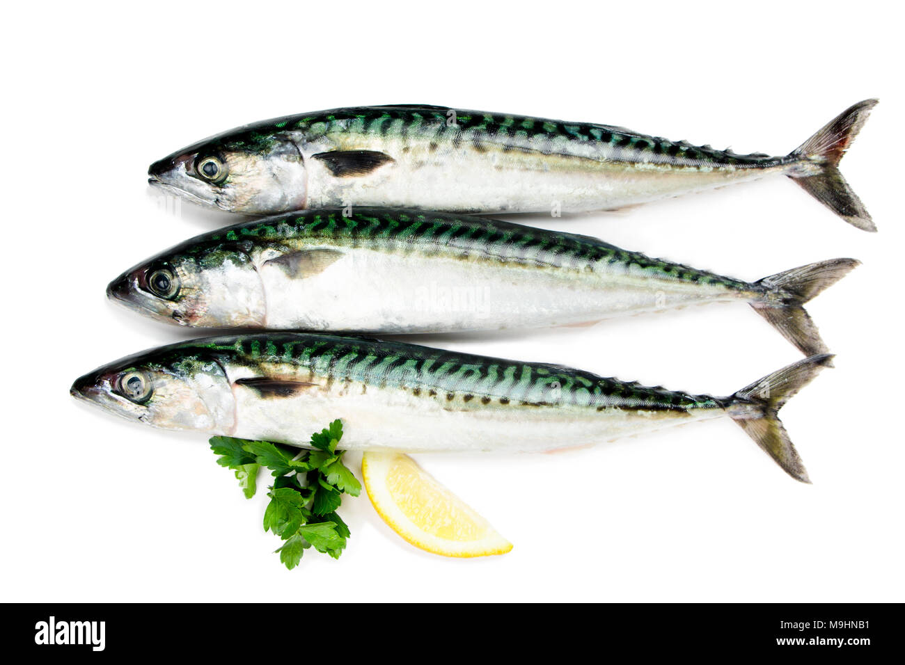 Fresh Mackerel fish isolated on white with parsley and lemon slice ...
