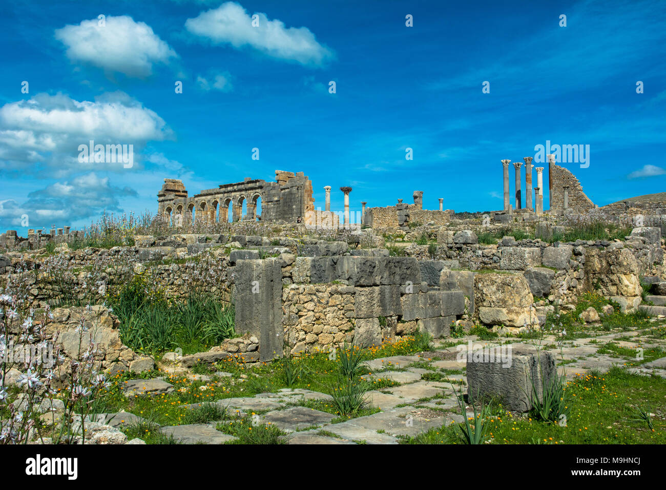 Tingis gate hi-res stock photography and images - Alamy