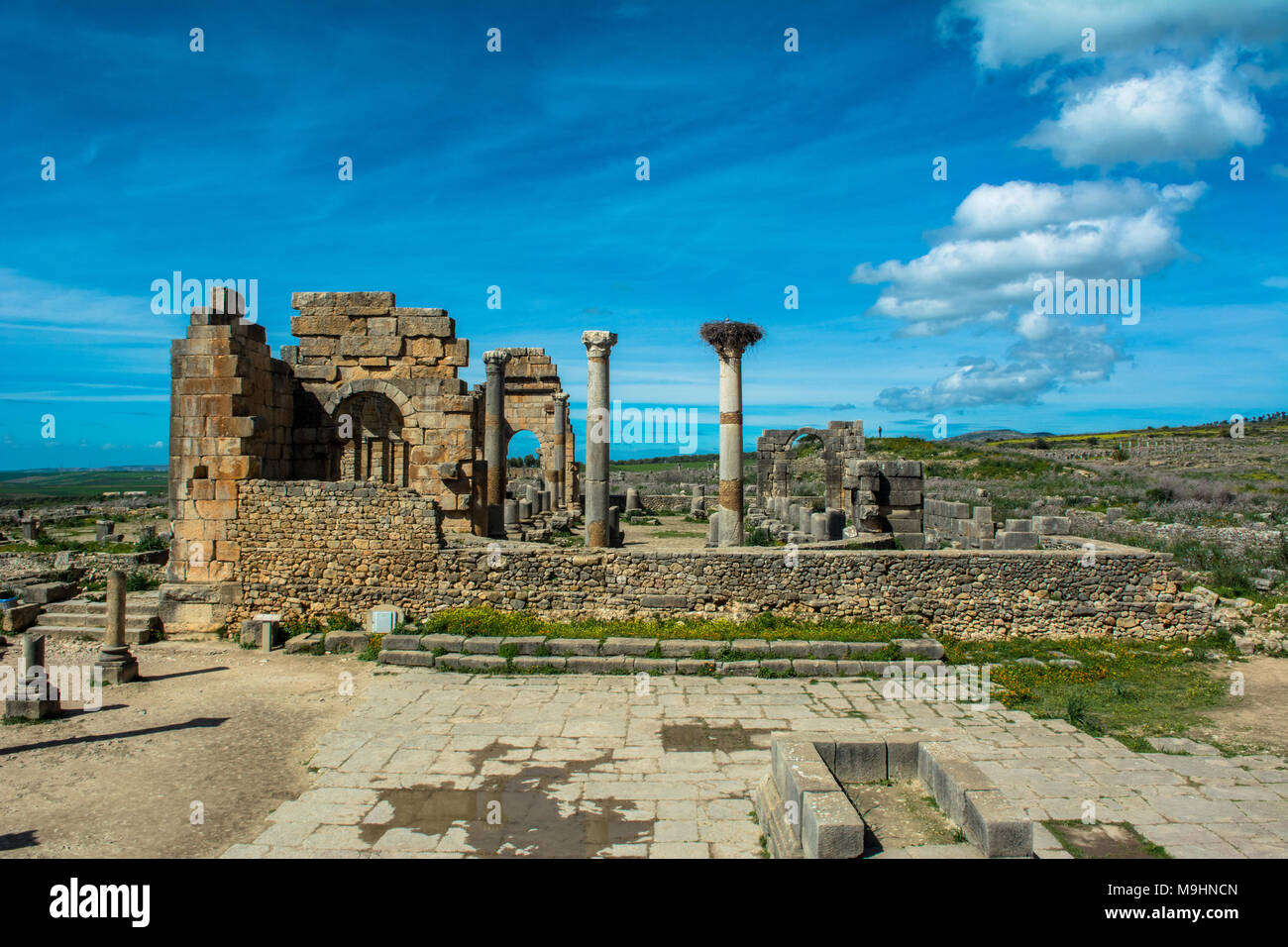 Tingis gate hi-res stock photography and images - Alamy