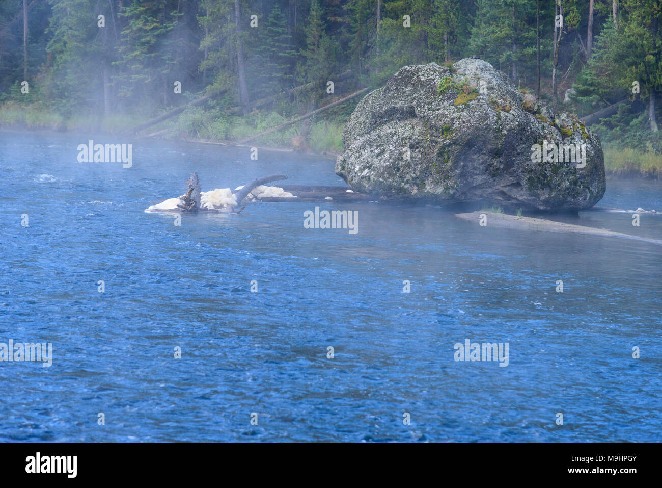 River with large boulder in water, green forest just past riverbank ...