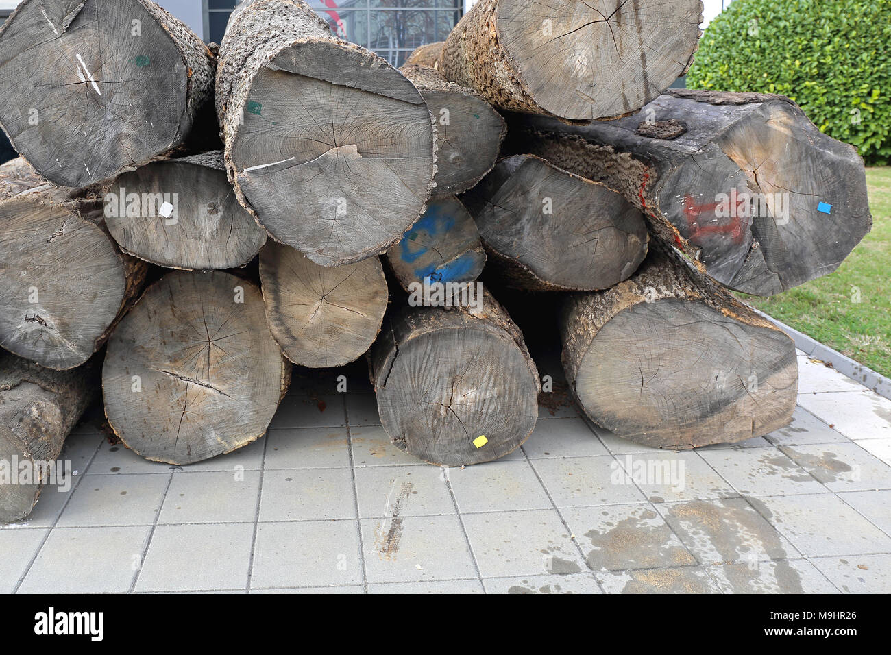 Big pile of wood hi-res stock photography and images - Alamy