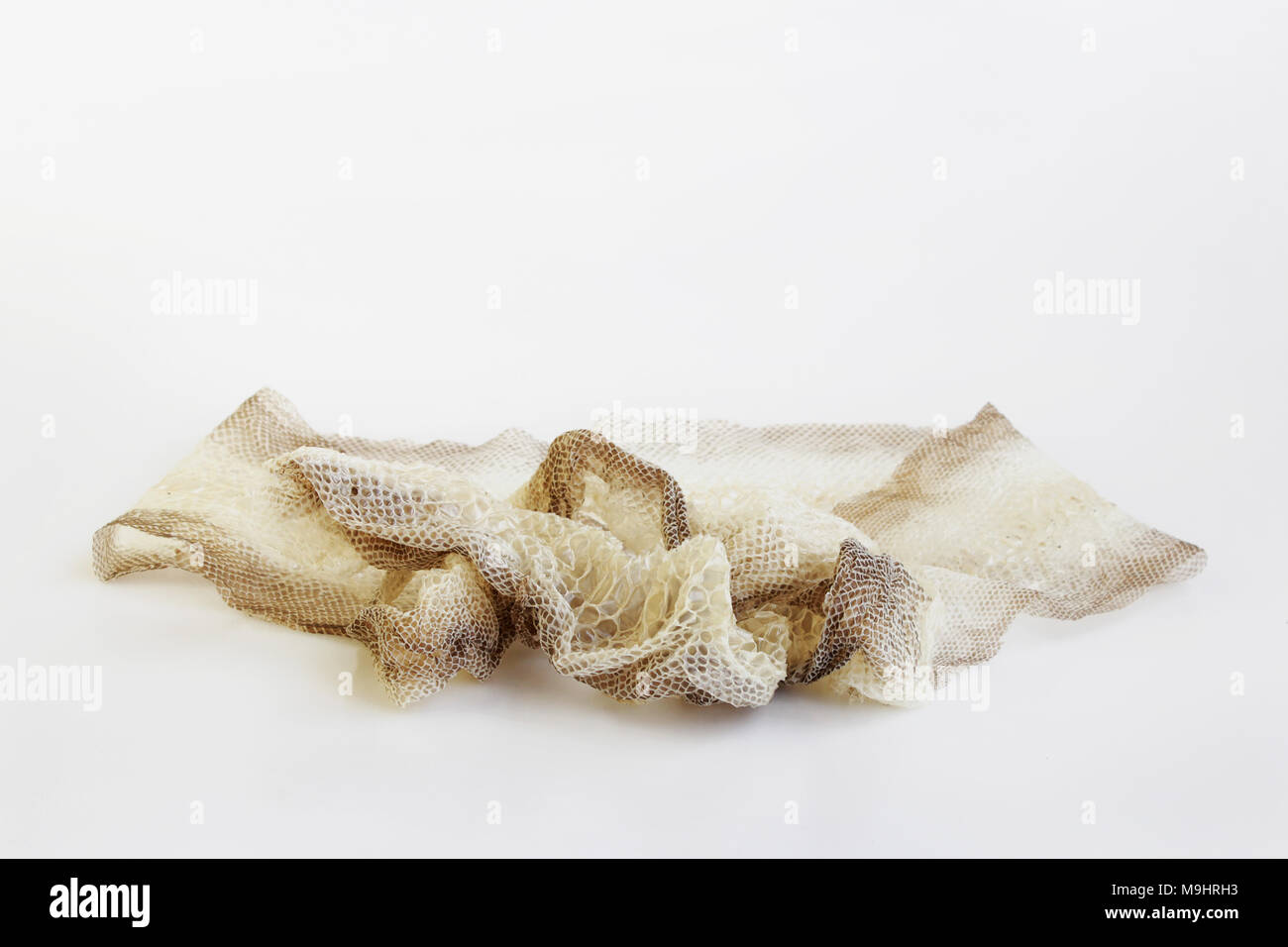 jacket cast-off skin of snake Royal Python on a white background Stock ...