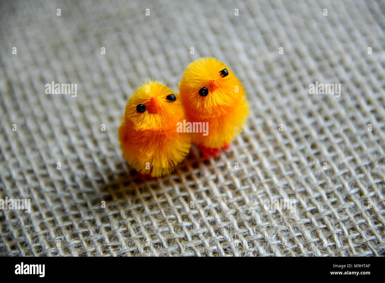 Small Easter Chicks on a textured vintage cloth background Stock Photo ...