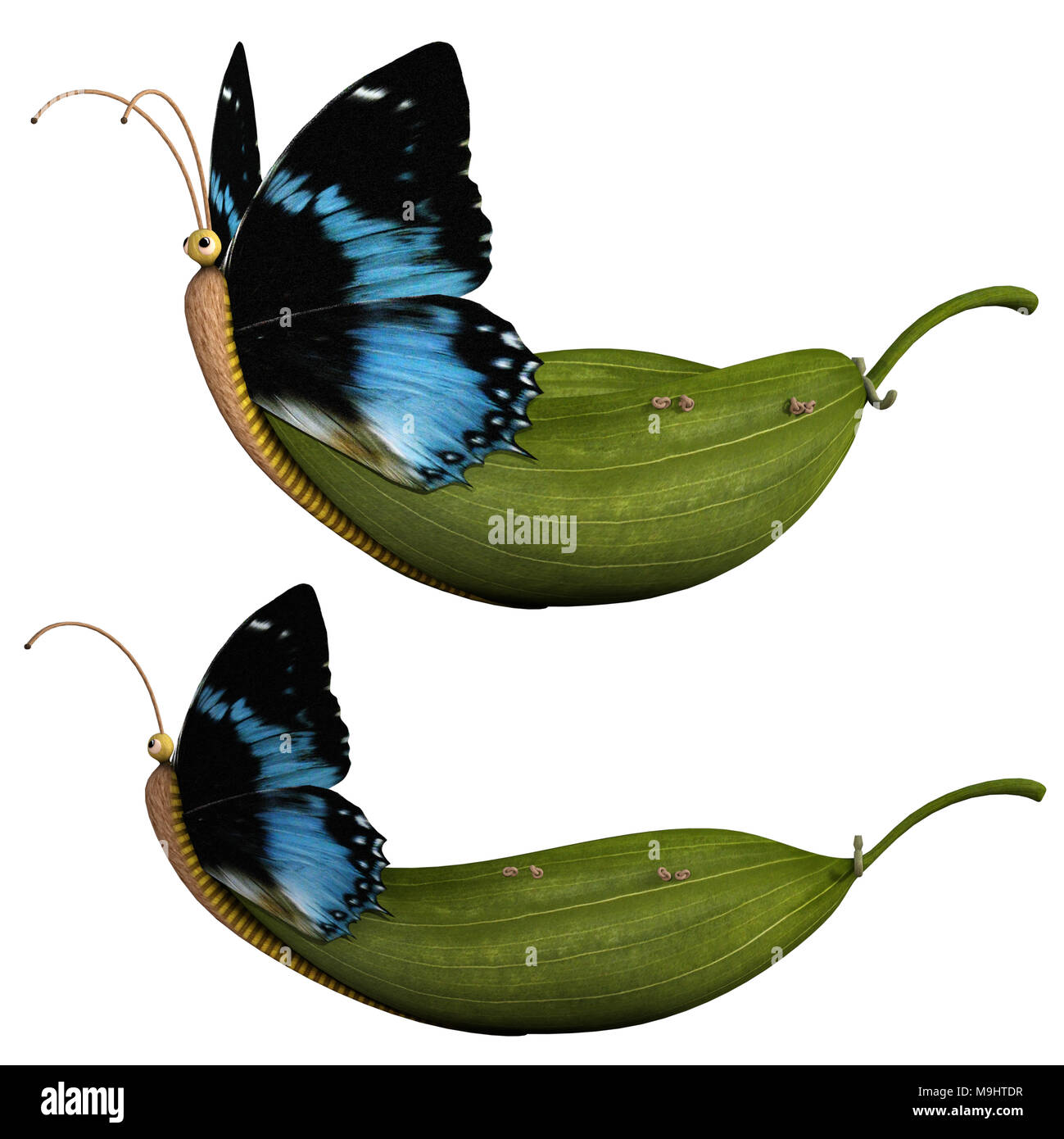 Butterfly Leaf Boat isolated on white, 3d render Stock Photo - Alamy