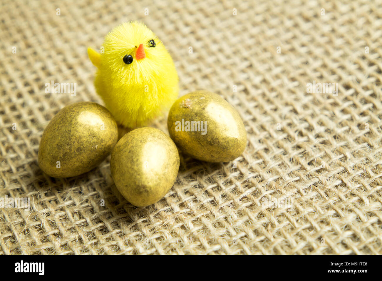 Cute Yellow Easter Chick With Golden Chocolate Eggs Stock Photo - Alamy