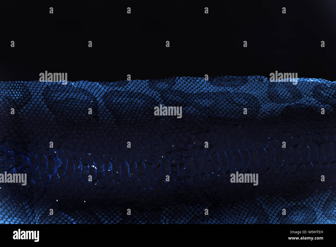 Snake skin jacket hi-res stock photography and images - Alamy