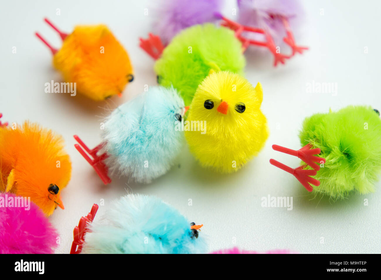 Multi Colored Easter Chicks Stock Photo - Alamy