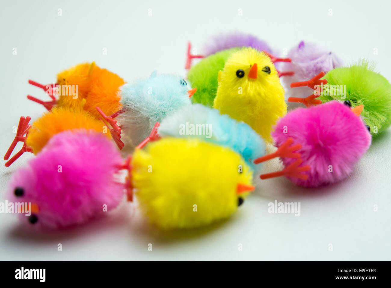 Multi Colored Easter Chicks Stock Photo - Alamy