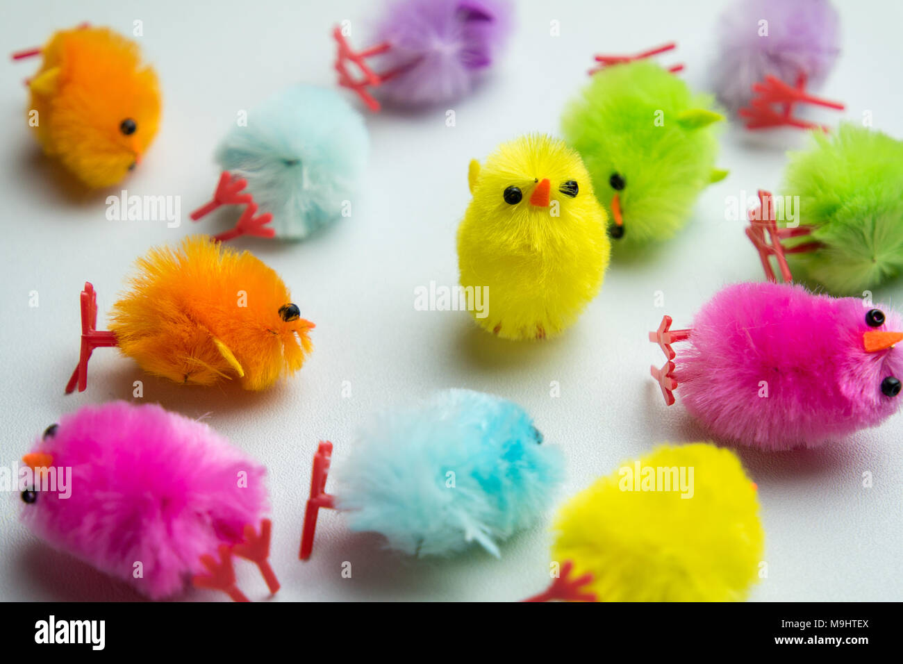 Multi Colored Easter Chicks Stock Photo - Alamy