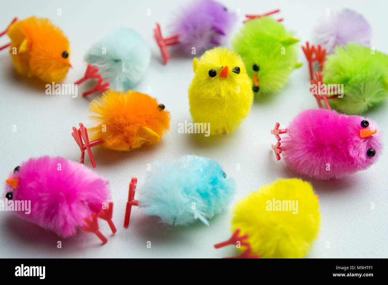 Multi Colored Easter Chicks Stock Photo - Alamy