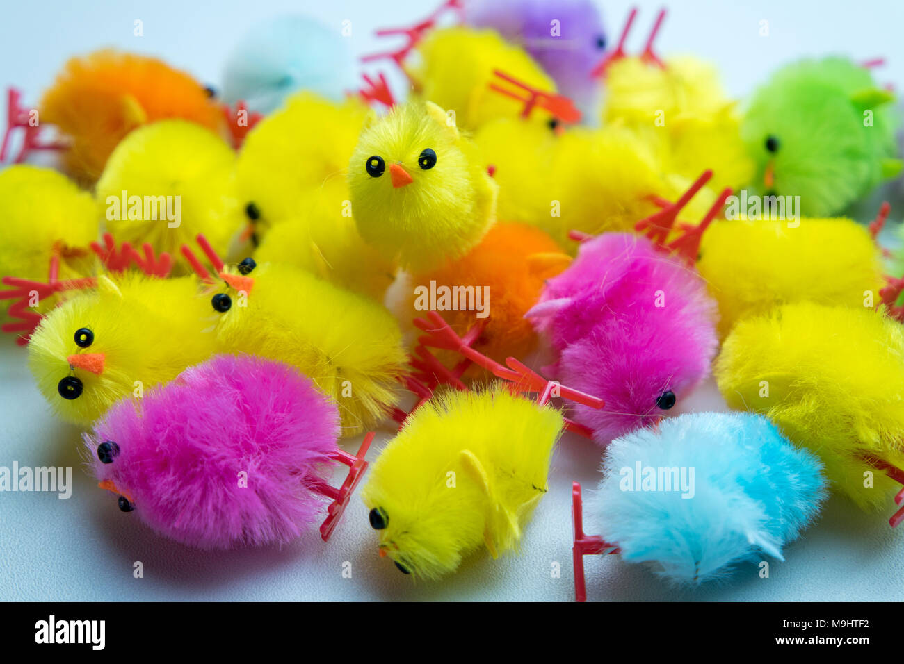 Multi Colored Easter Chicks Stock Photo - Alamy