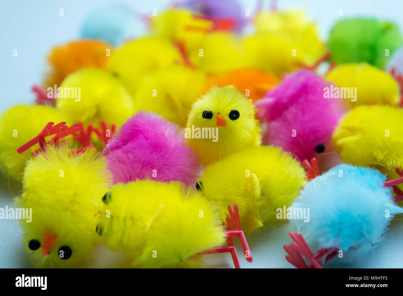 Multi Colored Easter Chicks Stock Photo - Alamy