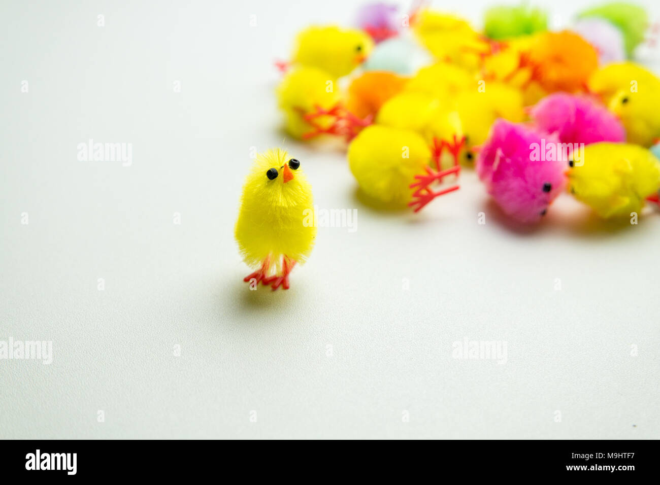 A Cute Yellow Easter Chick With Other Multi Colored Chicks Stock Photo ...