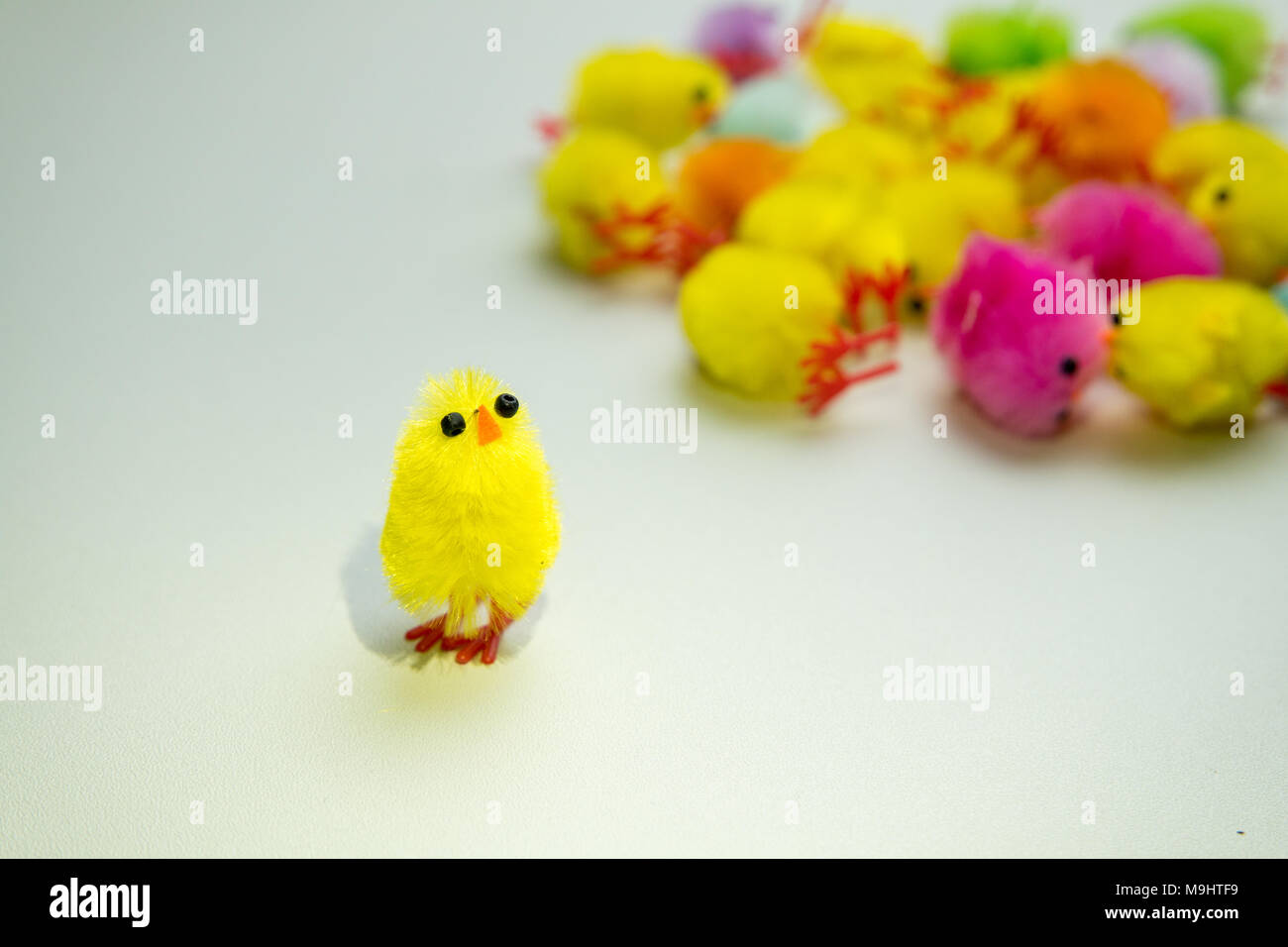A Cute Yellow Easter Chick With Other Multi Colored Chicks Stock Photo ...