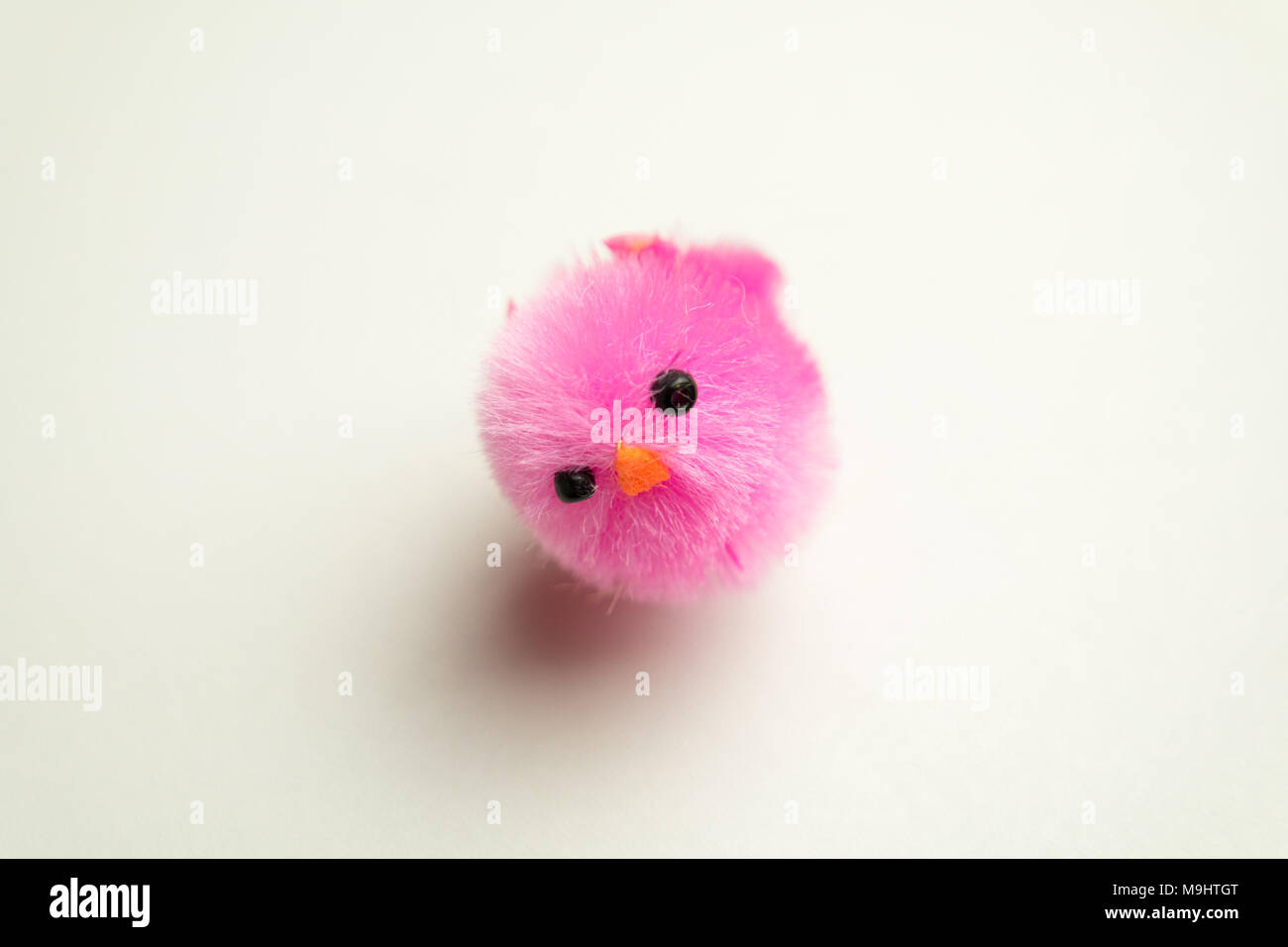 A Cute Purple Easter Chick Stock Photo - Alamy
