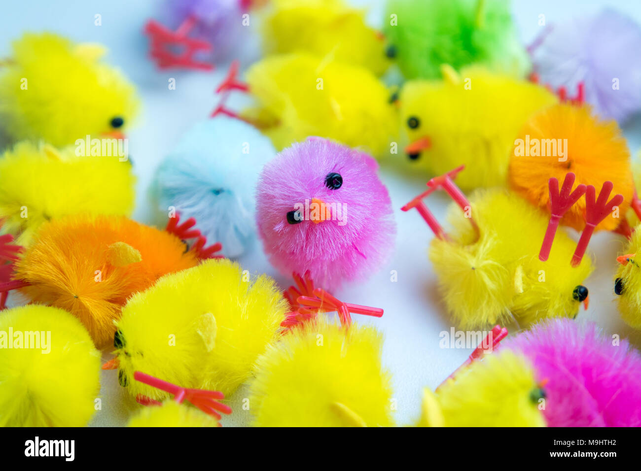 Cute Colorful Easter Chicks Stock Photo - Alamy